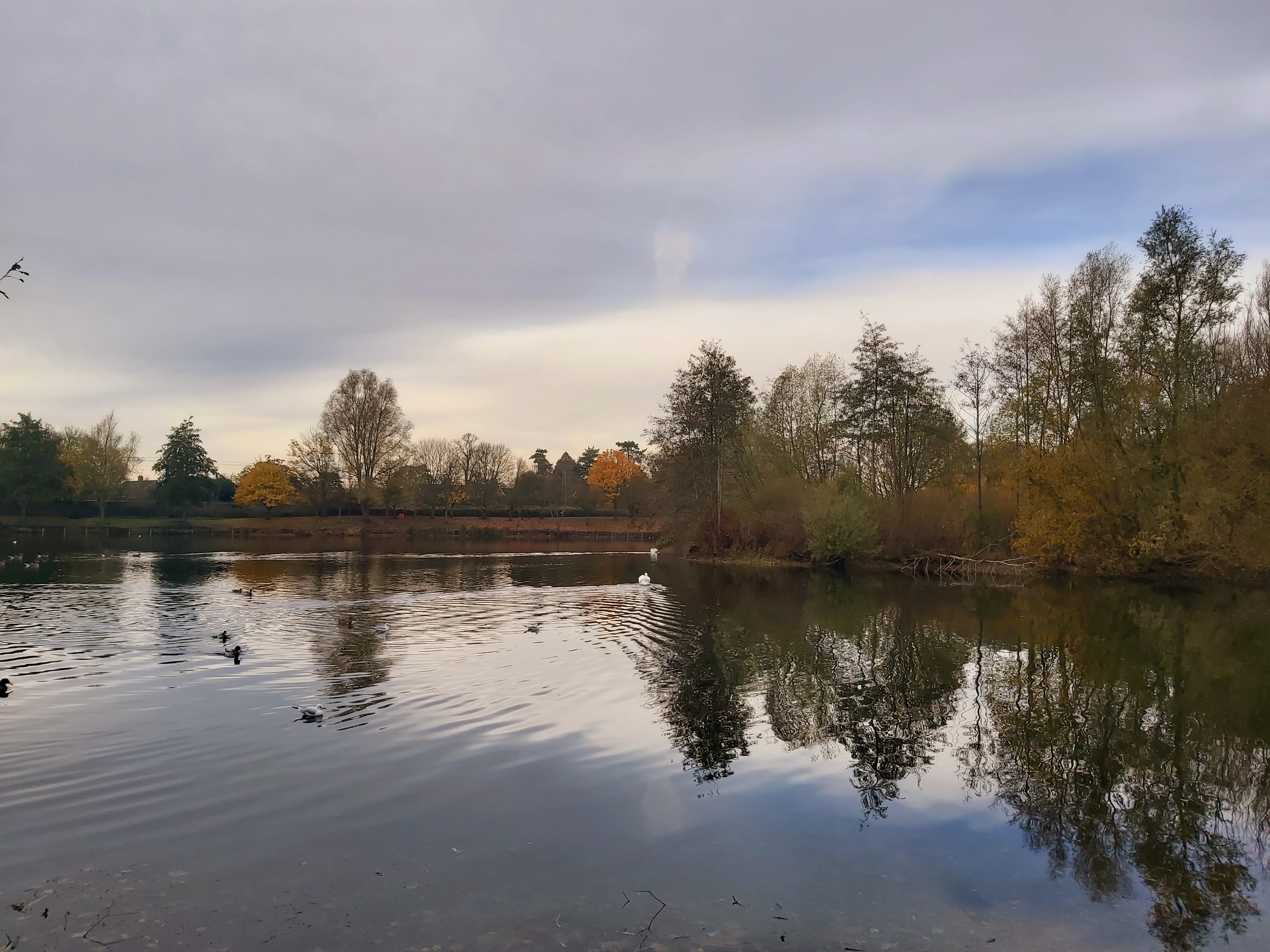 Needham Lake – I am Titus and this is my life, travel, walks, and ...