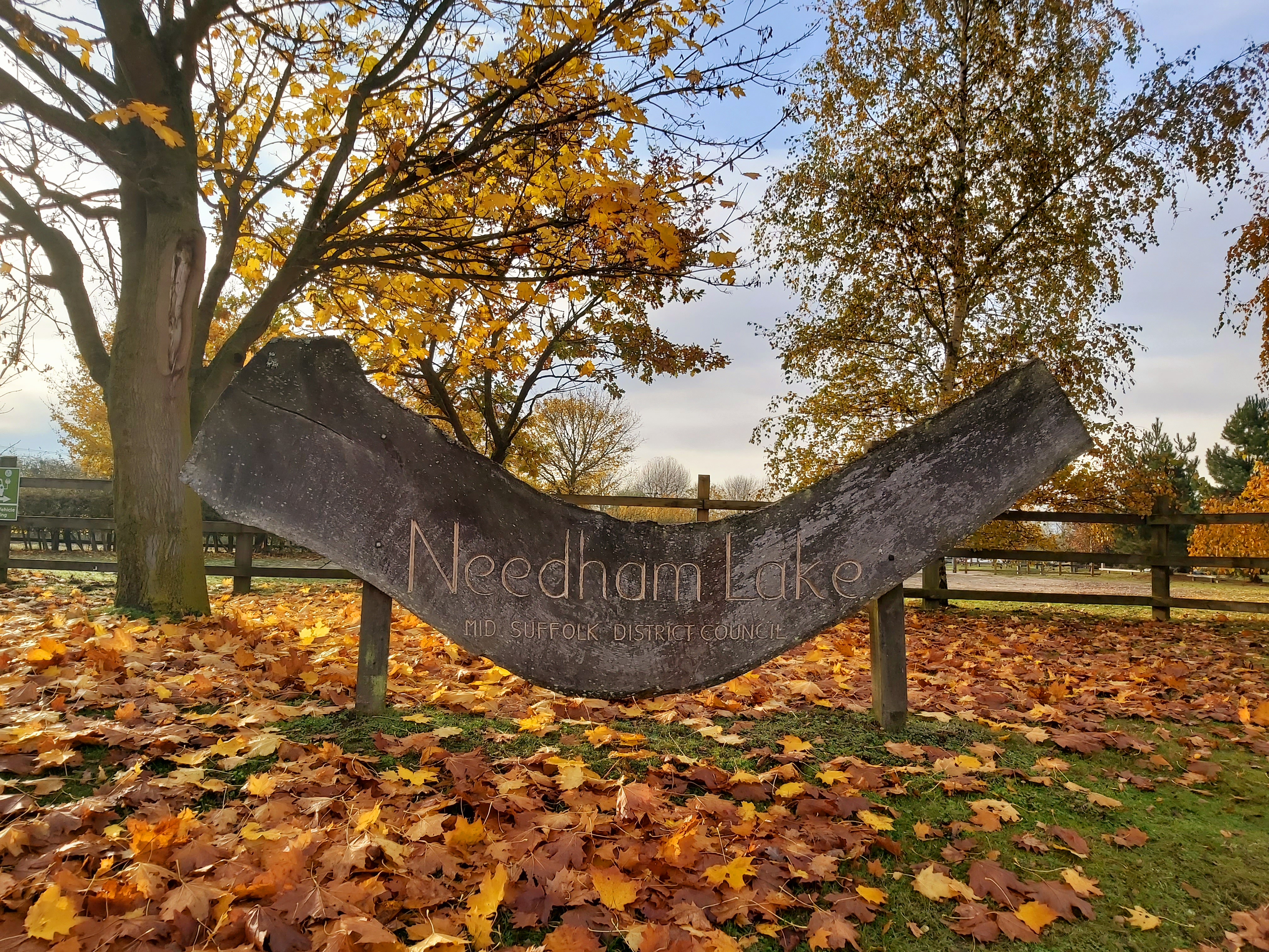Needham Lake – I am Titus and this is my life, travel, walks, and ...