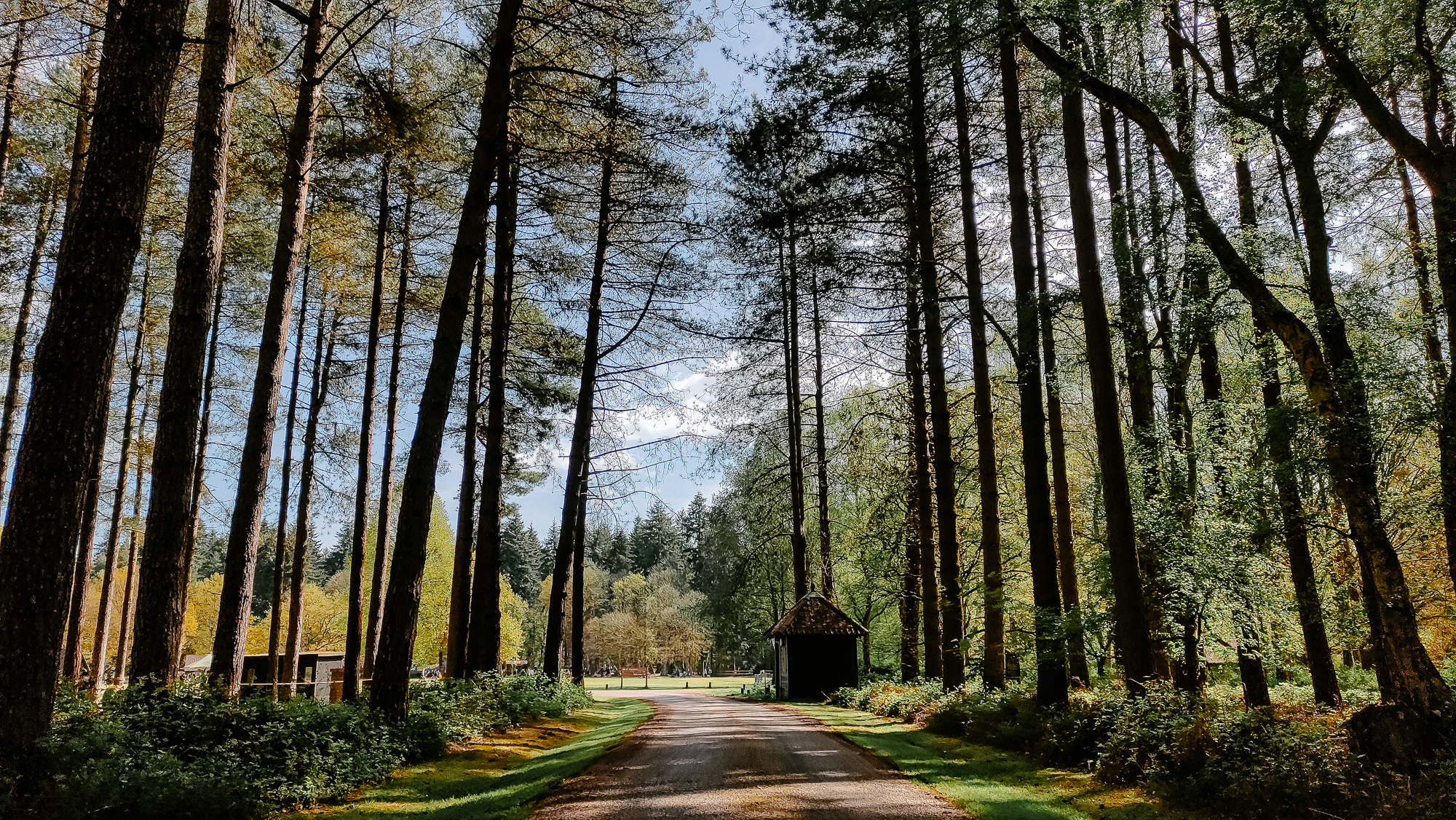 Thetford Forest: Zip Lines and E-Bikes – I am Titus and this is my ...